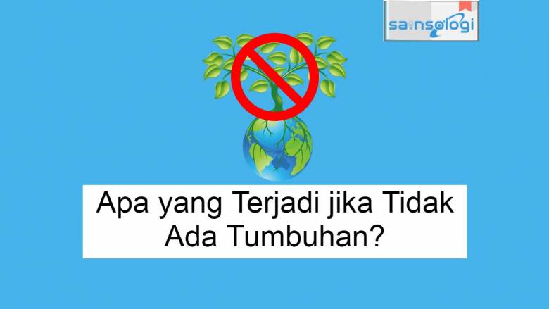 Apa yang Terjadi jika Tidak Ada Tumbuhan? – Sainsologi Apa yang Terjadi jika Tidak Ada Tumbuhan? – Sainsologi